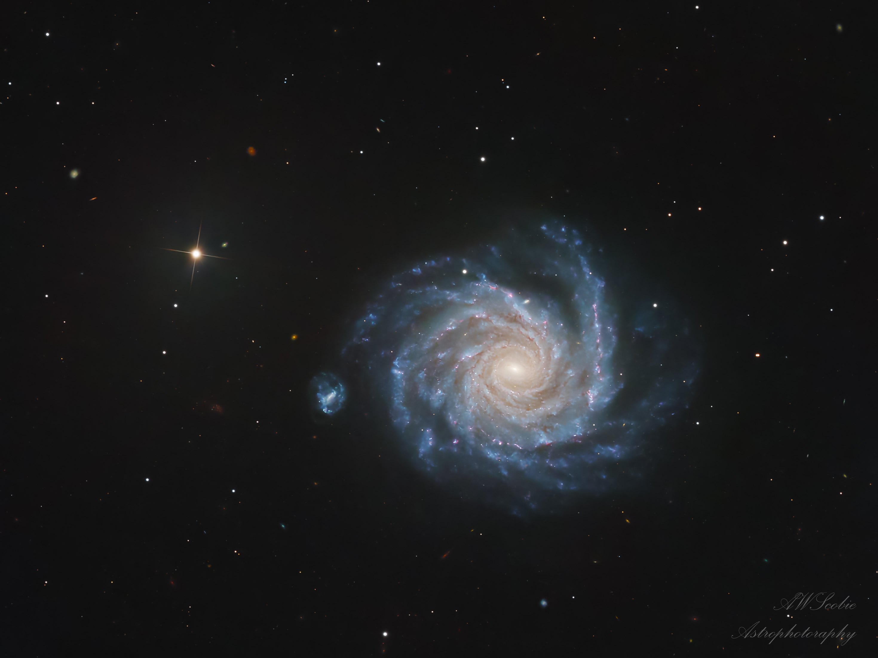NGC 1232 | Telescope Live